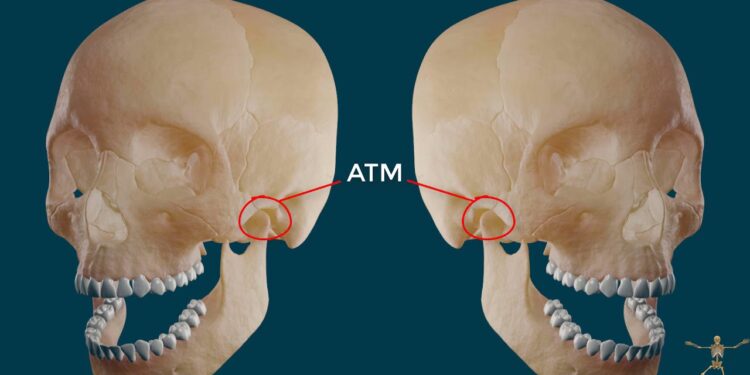 Estructura ósea de la mandíbula en vertebrados - Arjal
