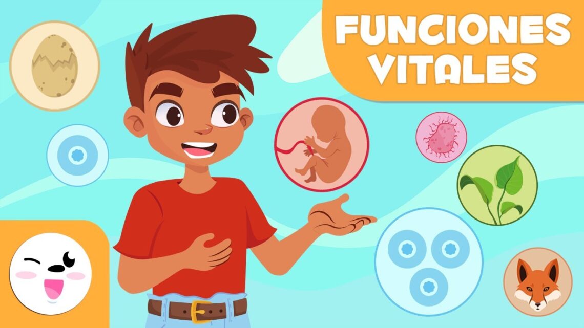Funciones vitales de los seres vivos: nutrición relación y reproducción ...