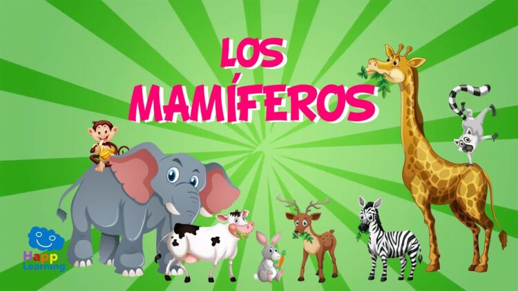 Cómo se reproducen los mamíferos: una guía para niños - Arjal