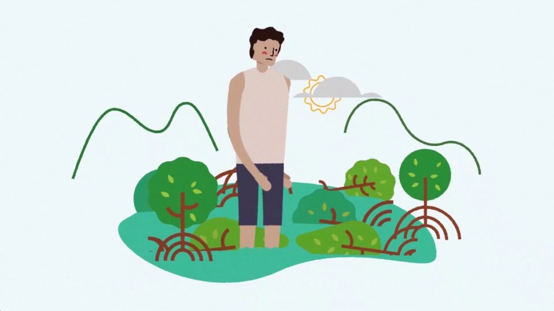 La relevancia de las áreas protegidas en la conservación del medio ...