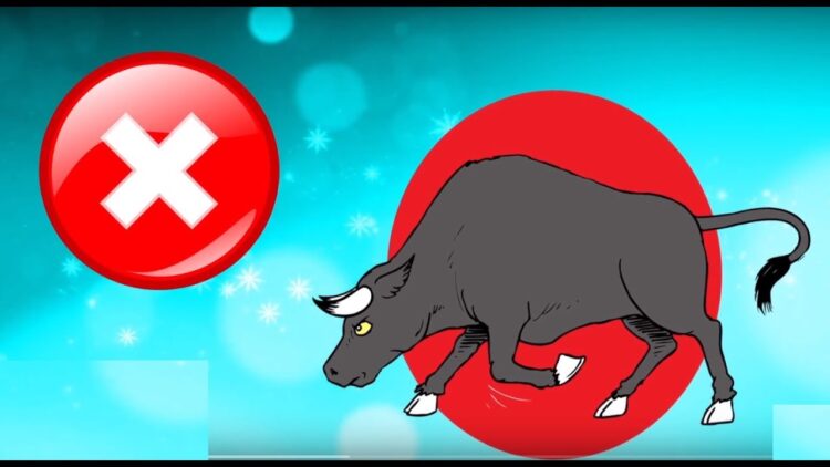 La tradición taurina y el uso del color rojo - Arjal