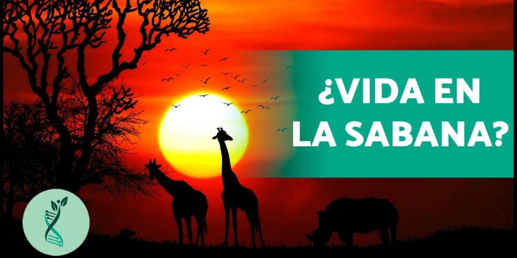 Localización de la sabana en el mundo - Arjal