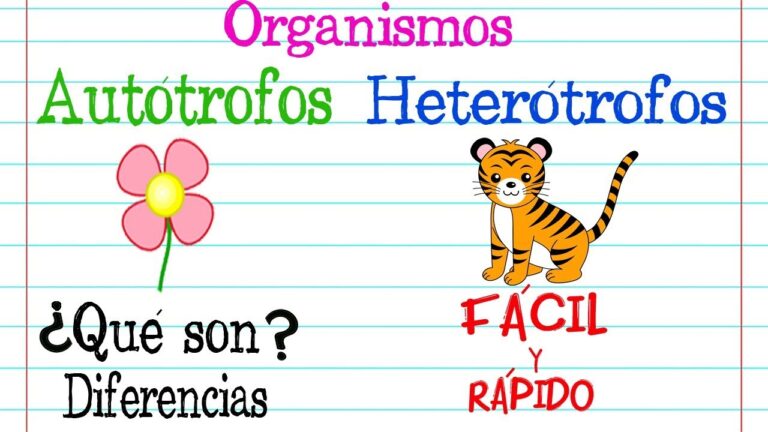 Animales autótrofos: ¿Qué significa y cuáles son sus características ...