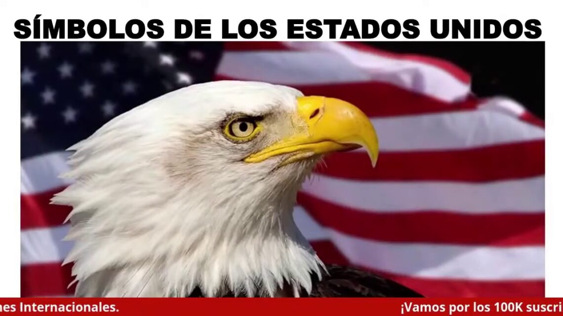 El Símbolo Patrio de Estados Unidos: El Águila Calva - Arjal