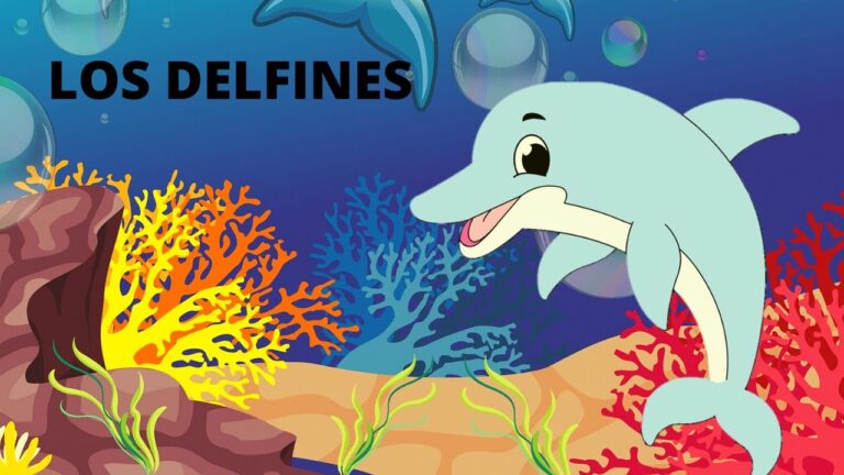 Las características de los delfines explicadas para los niños - Arjal