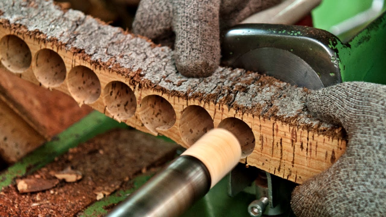 ¿Cuál es el nombre del árbol de corcho? - Arjal