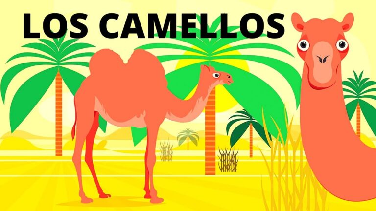 Características del camello explicadas para niños - Arjal